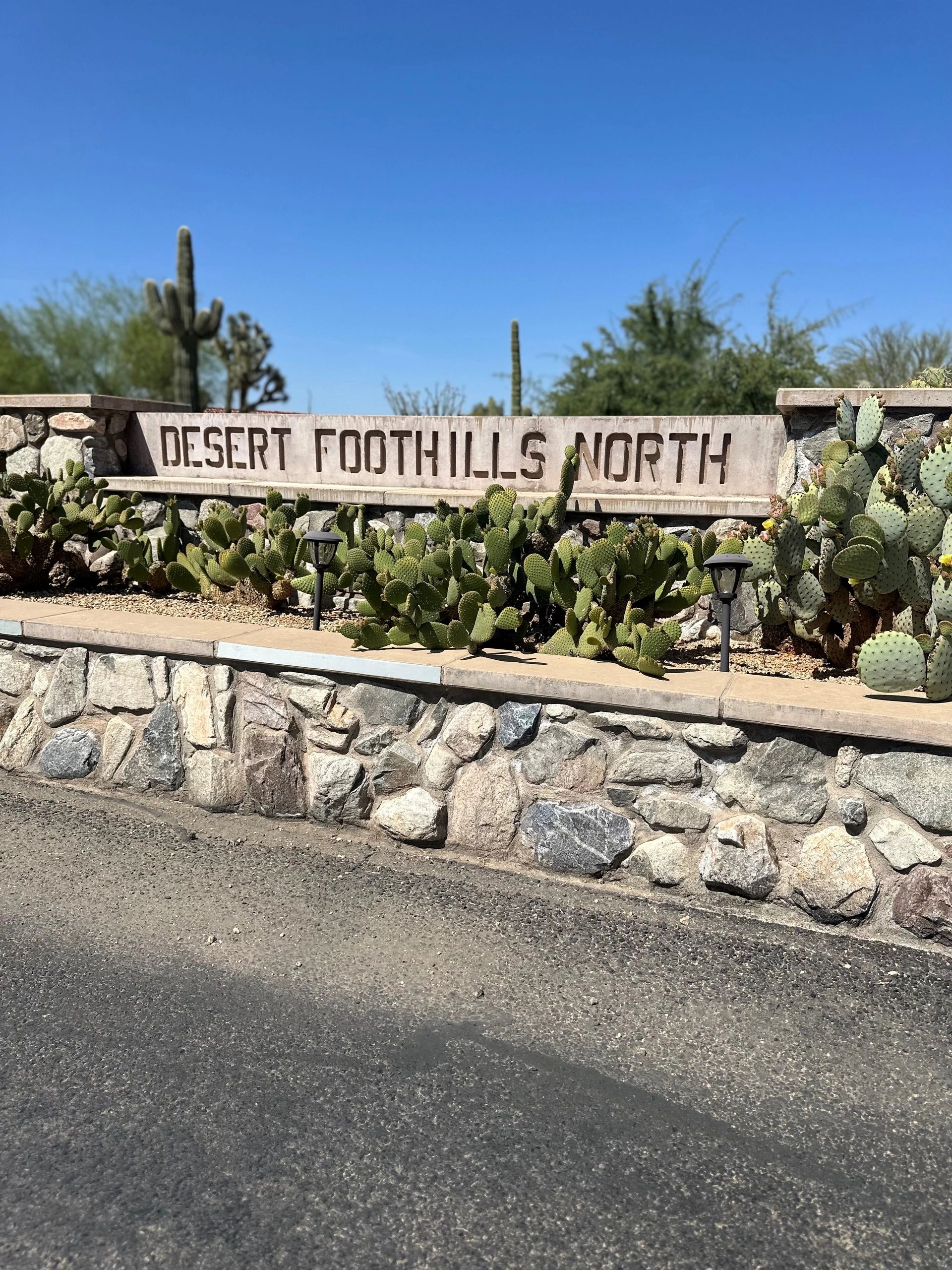 Desert FootHills North